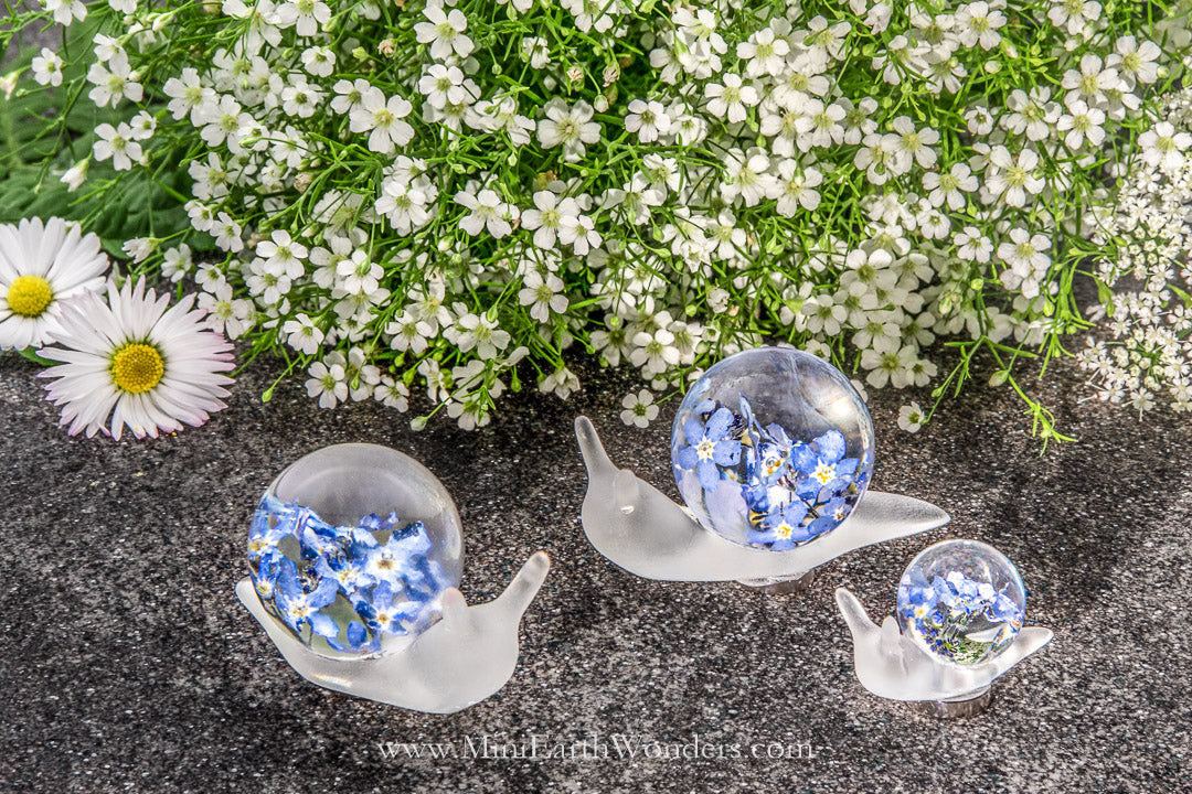 Magnets – Mini Earth Wonders